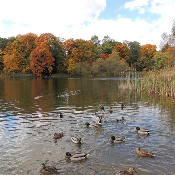 HIGH PARK - Updated April 2025 - 1008 Photos & 172 Reviews - 1873 Bloor ...