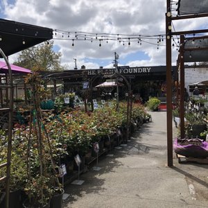 THE PLANT FOUNDRY NURSERY & STORE - 273 Photos & 124 Reviews - 3500 ...