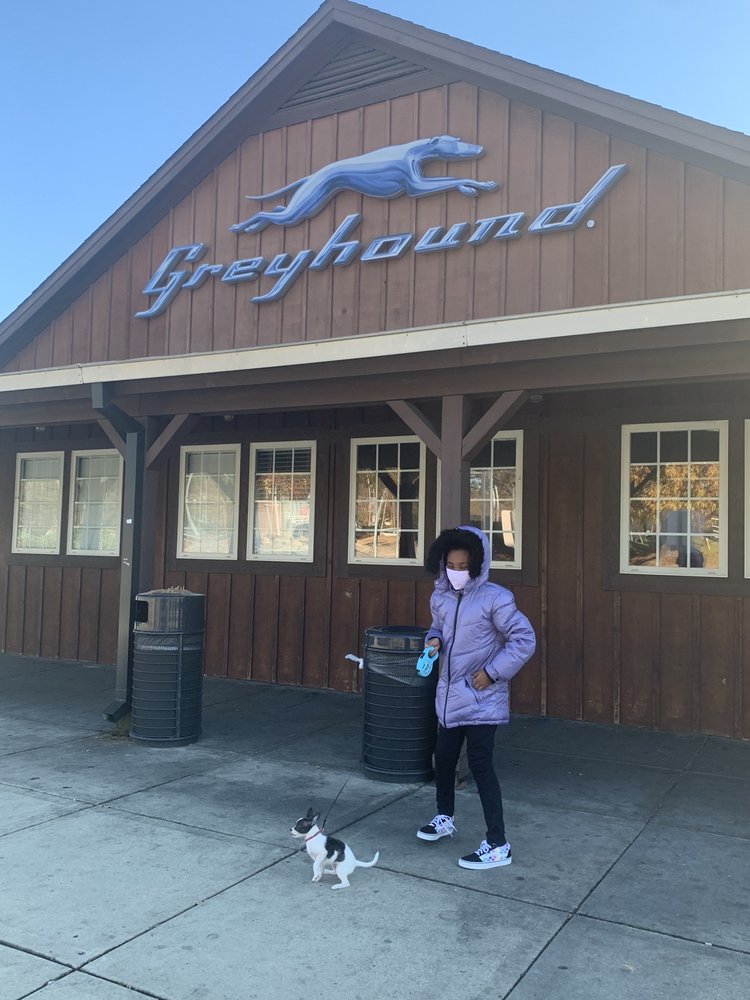GREYHOUND BUS LINES | 12 Photos & 31 Reviews | 2210 Capital Blvd ...