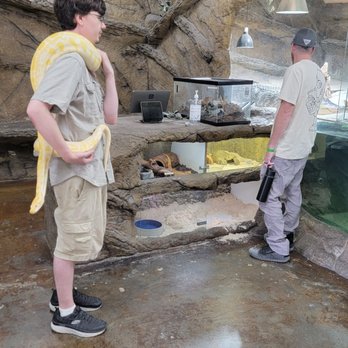 THE REPTILE ZOO - Updated August 2025 - 1670 Photos & 470 Reviews ...