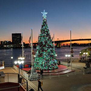 REX, THE BEACH BLVD DINOSAUR - Updated August 2025 - 13 Photos & 32 ...