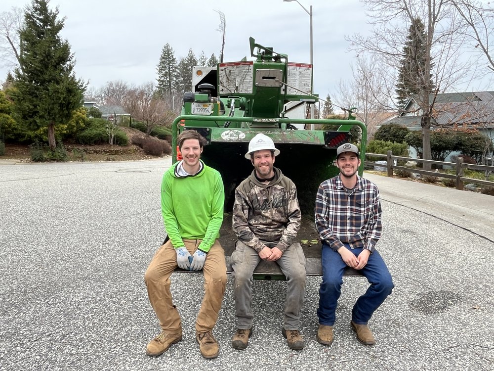 FIRST IMPRESSIONS TREE SERVICE AND LANDSCAPING - Updated March 2026 ...