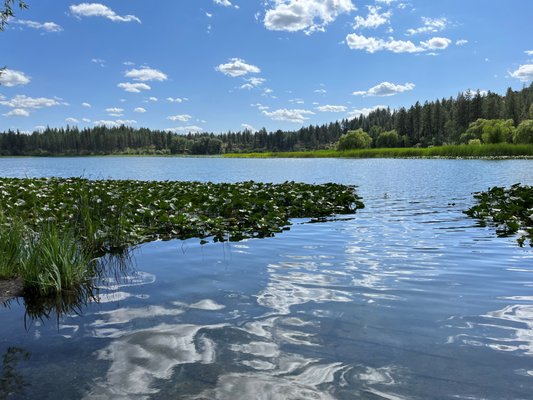 FISH LAKE - Updated October 2025 - 14222-14372 S Cheney Spokane Rd ...