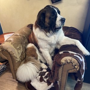 RED RIFLE - 165 Photos & 262 Reviews - 1505 E Del Amo Blvd, Carson ...