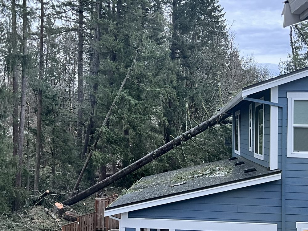 MOUNTAIN VIEW TREE SERVICE - Updated December 2025 - 34 Photos & 21 ...