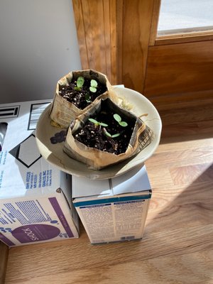 GENEVA PUBLIC LIBRARY DISTRICT - Updated October 2025 - 26 Photos & 17 ...