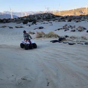 OFFROAD RENTALS - 559 Photos & 606 Reviews - 59511 US Hwy 111, Palm ...