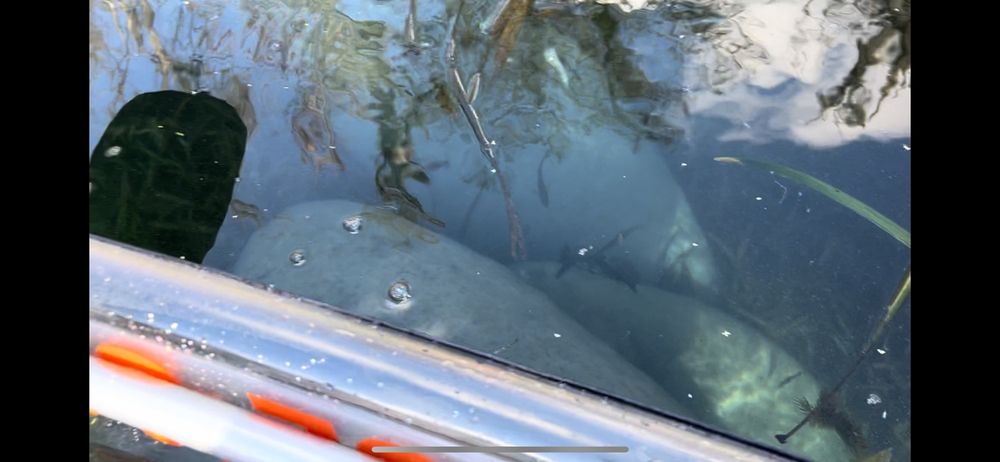 RIVER RATS CRYSTAL CLEAR KAYAKING - Updated July 2025 - 27 Photos ...