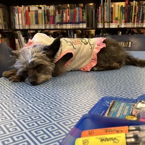 SACRAMENTO PUBLIC LIBRARY - NORTH NATOMAS - Updated August 2025 - 64 ...