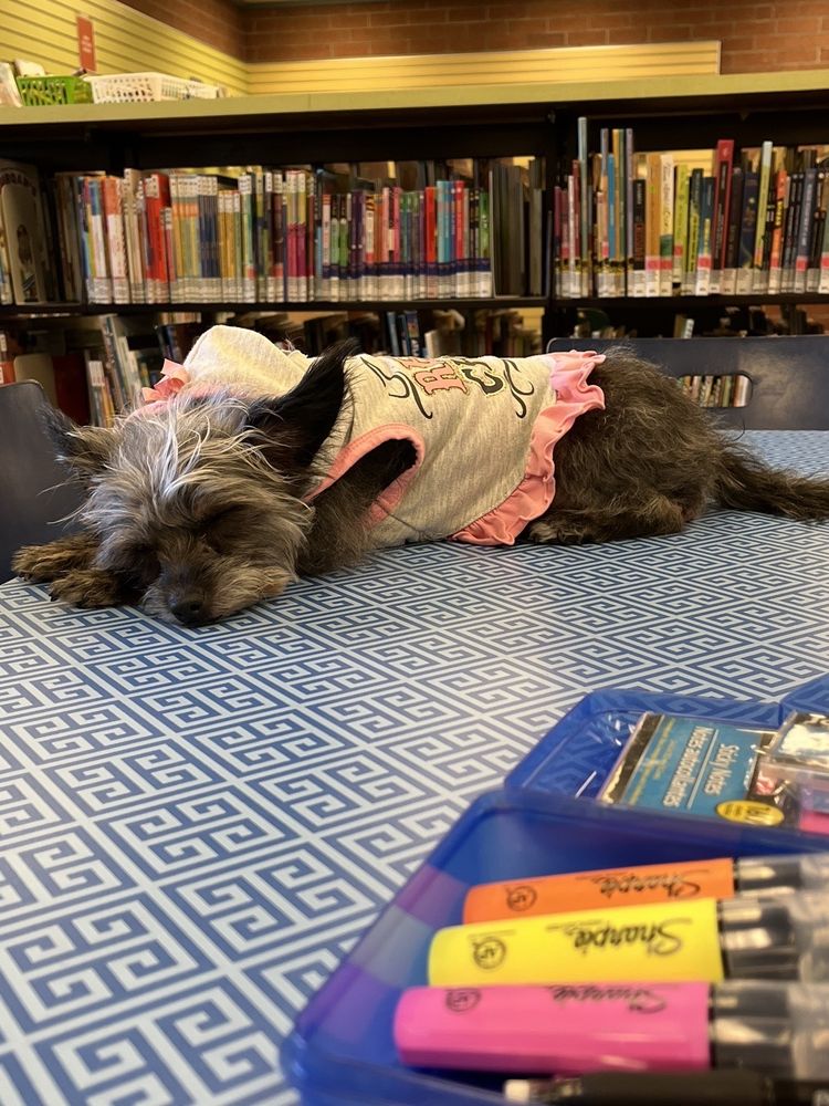 SACRAMENTO PUBLIC LIBRARY - SOUTHGATE - Updated October 2025 - 16 ...