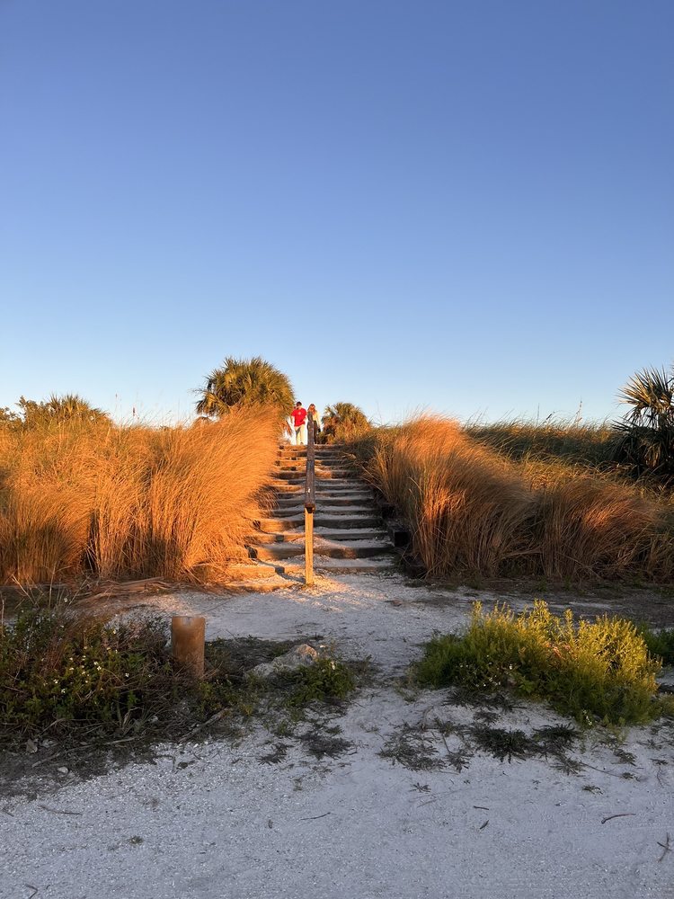 EMERSON POINT PARK - 192 Photos & 33 Reviews - 5801 17th St W, Palmetto ...