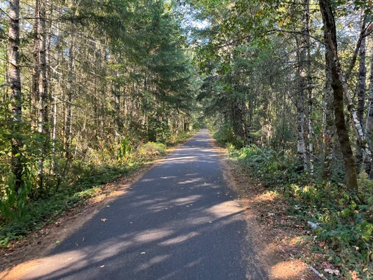 CHEHALIS WESTERN TRAIL - Updated August 2025 - 59 Photos & 10 Reviews ...