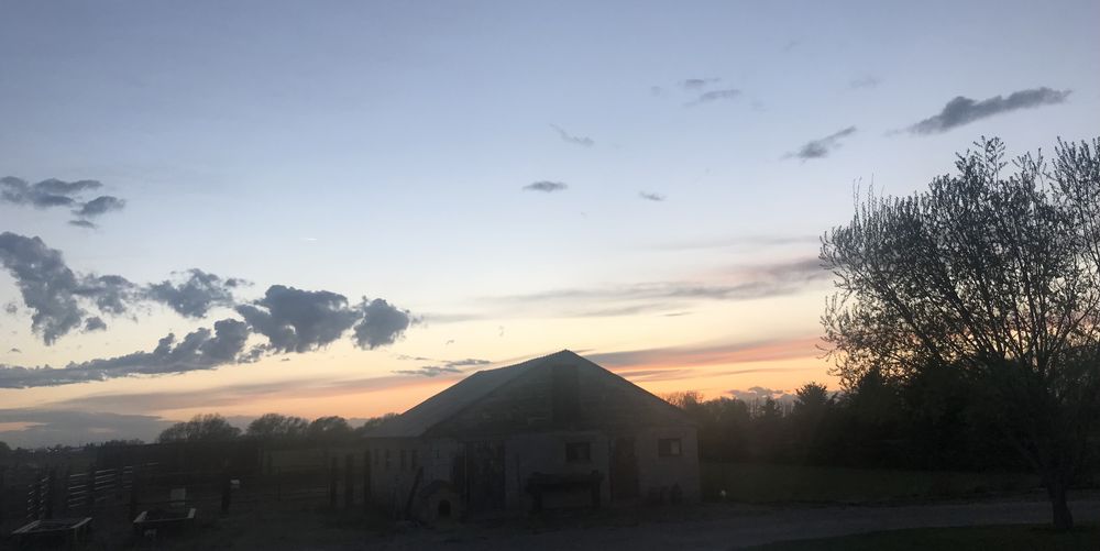 TONYA BIRD REALTOR - Updated June 2024 - Contact Agent - 3525 Merlin Dr ...