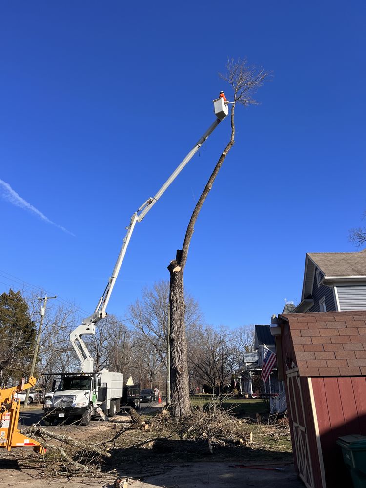 ER TREE SERVICES - Updated October 2025 - 68 Photos - 1426 Founders Way ...