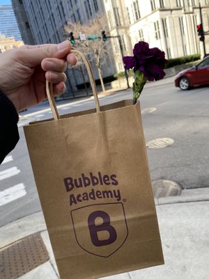 BUBBLES ACADEMY - Updated July 2025 - 71 Photos & 102 Reviews - 2184 N ...