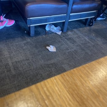 PANERA BREAD - Updated December 2025 - 289 Photos & 365 Reviews - 8900 ...