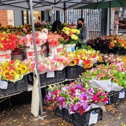 Best Farmers Market Near Me - December 2024: Find Nearby Farmers Market ...