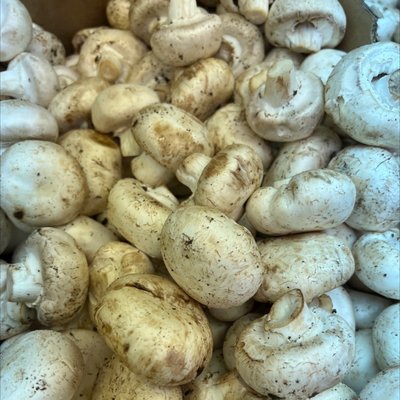 TANNER BROTHERS DAIRY - 84 Photos & 140 Reviews - 1070 Hatboro Rd ...