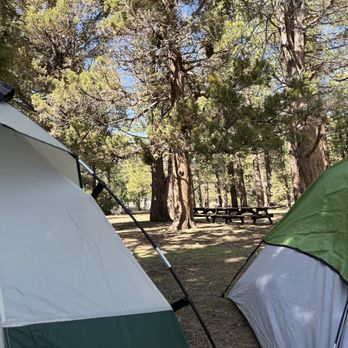 SERRANO CAMPGROUND - Updated July 2024 - 308 Photos & 228 Reviews ...