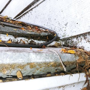 MEN IN BLACK PEST CONTROL SERVICES - Updated June 2025 - 27 Photos ...