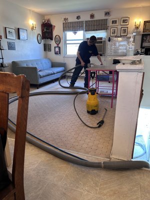 STEAMASTER CARPET CLEANING - Updated December 2025 - 16 Photos & 29 ...
