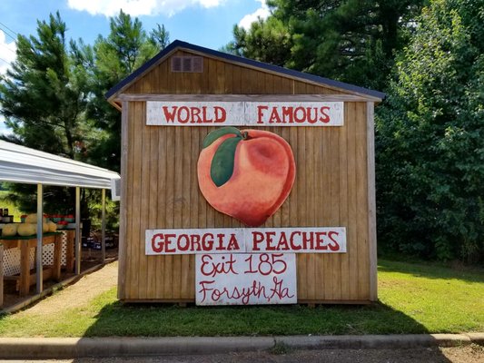 HOBO JOE’S PEACH STAND - Updated July 2025 - Exit 185 Forsyth Shell ...