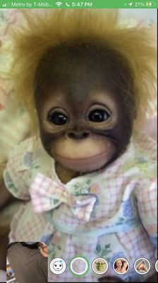 BAPE STORE - Updated November 2025 - 39 Photos & 44 Reviews - 8810 ...