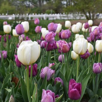 CLARK BOTANIC GARDEN - Updated December 2025 - 237 Photos & 32 Reviews ...