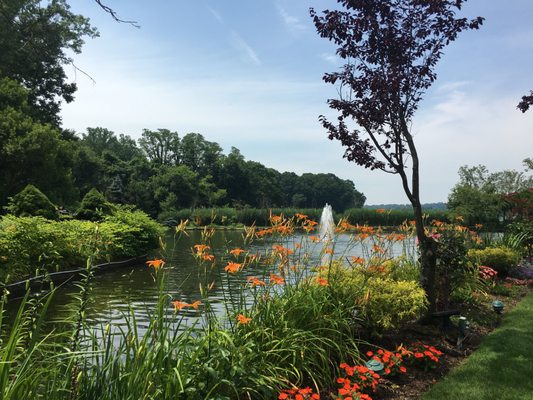 SWAN CLUB ON THE HARBOR - Updated November 2024 - 321 Photos & 207 ...