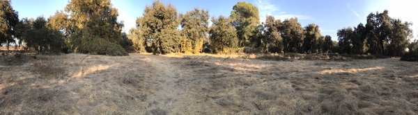 KAWEAH OAKS PRESERVE - 45 Photos & 15 Reviews - 29979 Road 182, Exeter ...