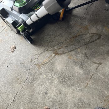 POINTE PEST CONTROL - Updated October 2025 - 14 Photos & 55 Reviews ...