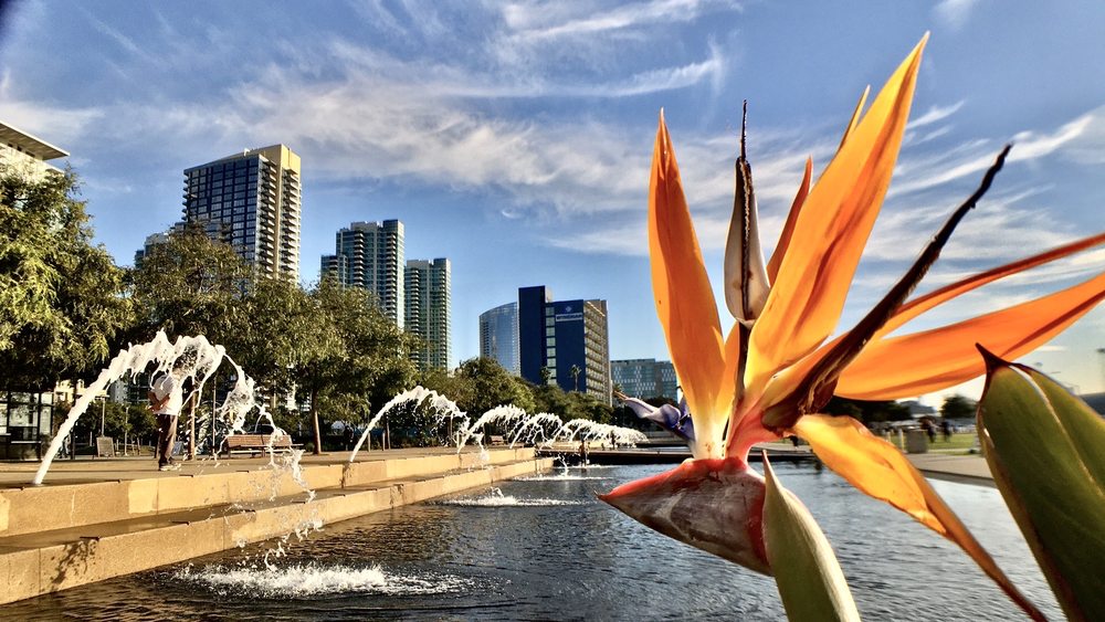 Waterfront Park Updated October 2024 1164 Photos And 301 Reviews