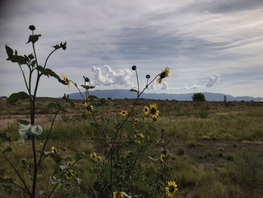 VENTANA RANCH PARK - Updated December 2025 - 11 Photos - Universe Blvd ...