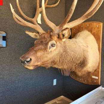 BEN AVERY SHOOTING RANGE - Updated December 2024 - 153 Photos & 154 ...