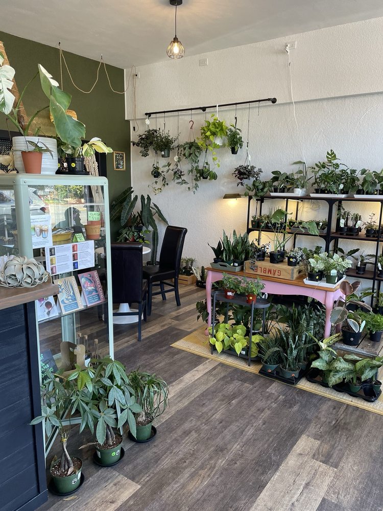VAGABOND COFFEE - Updated June 2026 - 604 W Main St, Centralia ...