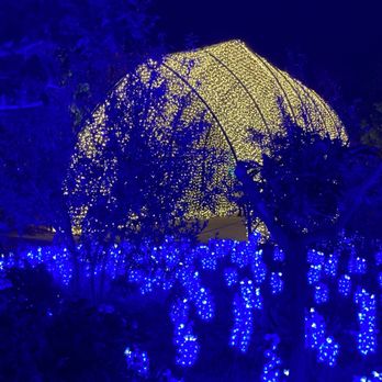 LIGHTSCAPE SAN DIEGO - Updated October 2025 - 250 Photos & 59 Reviews ...