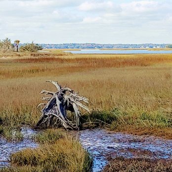 PINCKNEY ISLAND NATIONAL WILDLIFE REFUGE - Updated December 2025 - 210 ...