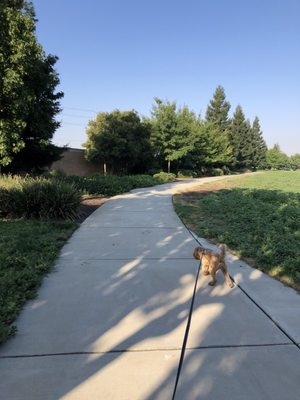 VETERANS PARK - Updated December 2025 - 20 Photos - 238 Glenhaven Dr ...