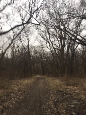 FOREST PRESERVE DISTRICT OF COOK COUNTY, ILLINOIS - Updated October ...