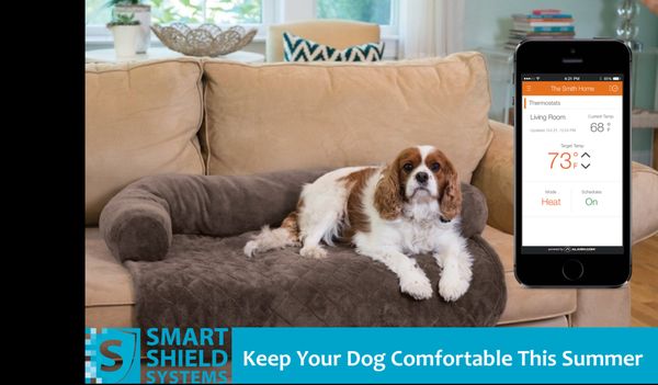 SMART SHIELD SYSTEMS - Updated November 2025 - 252 Reviews & 99 Photos ...