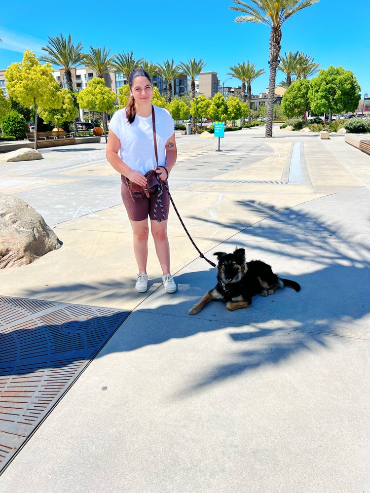 HAZEL WORKS DOG TRAINING - Request Consultation - San Diego, California ...