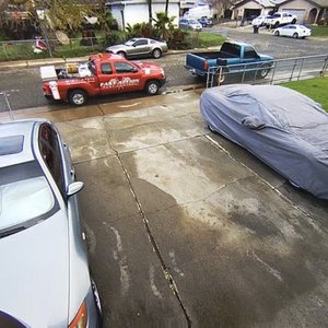 FAST ACTION PEST CONTROL - 88 Photos & 276 Reviews - Pest Control ...