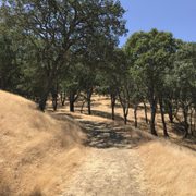 DIABLO FOOTHILLS REGIONAL PARK - 237 Photos & 44 Reviews - 1700 Castle ...
