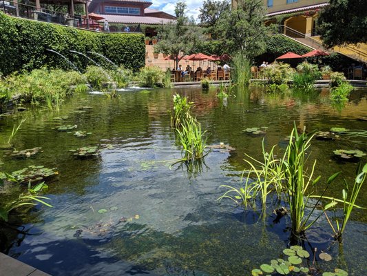 DREAMWORKS ANIMATION STUDIO - Updated December 2025 - 52 Photos & 18 ...