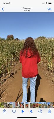 MAPLE LANE FARMS & CORN MAZE - Updated December 2025 - 29 Photos & 10 ...