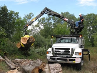 STROBERT TREE SERVICES - Updated June 2025 - 28 Photos & 43 Reviews ...
