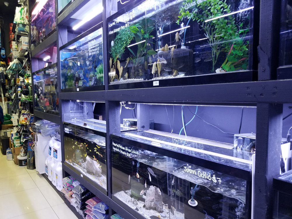 MONSTER AQUARIUM - Updated October 2025 - 68 Photos & 134 Reviews - 131 ...