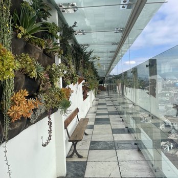 SOHO HOUSE WEST HOLLYWOOD - Updated July 2024 - 303 Photos & 434 ...