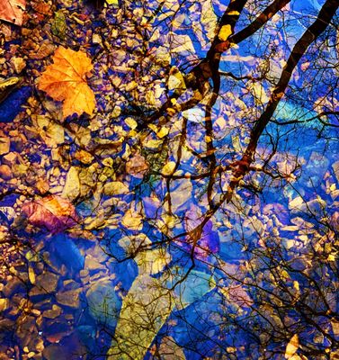 POWDER VALLEY CONSERVATION NATURE CENTER - Updated November 2024 - 243 ...