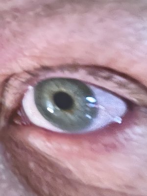 THE CBM GROUP - Updated November 2025 - 1010 Racquet Club Dr, Auburn ...